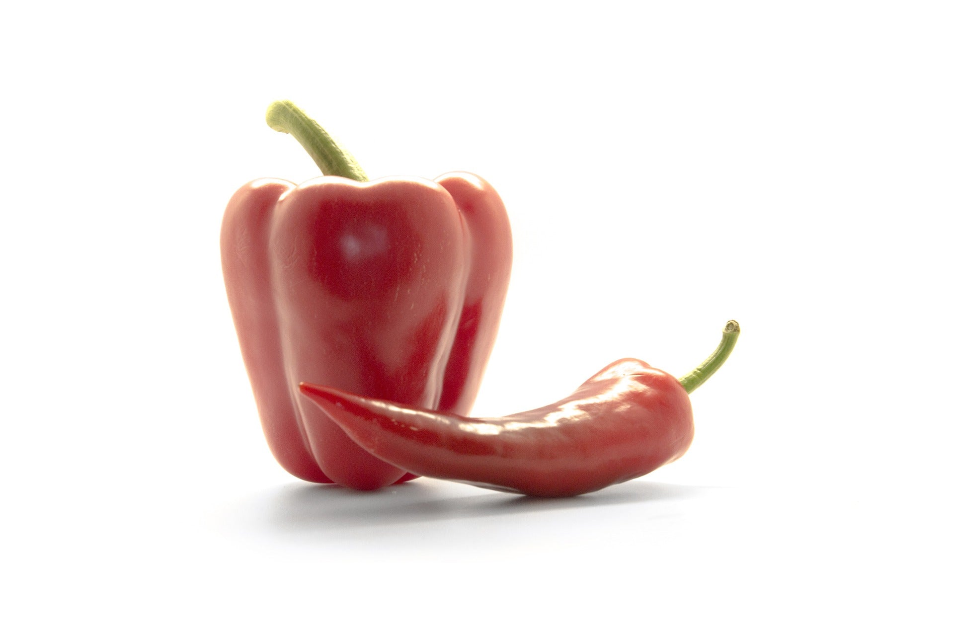 Award Winning Salsa – the Plain Ole Salsa Company
